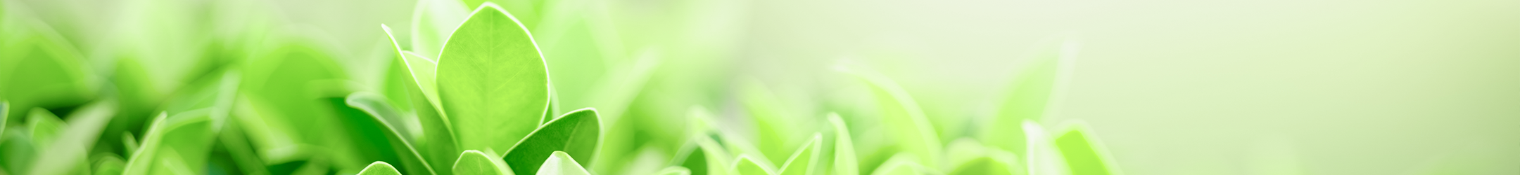 BioSyntropy Supplements – Biosyntropy supplements